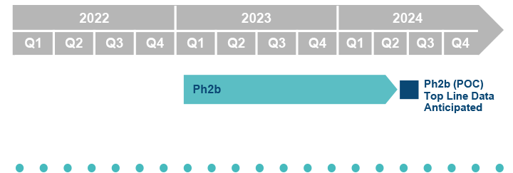 Pipeline - PULMATRiX